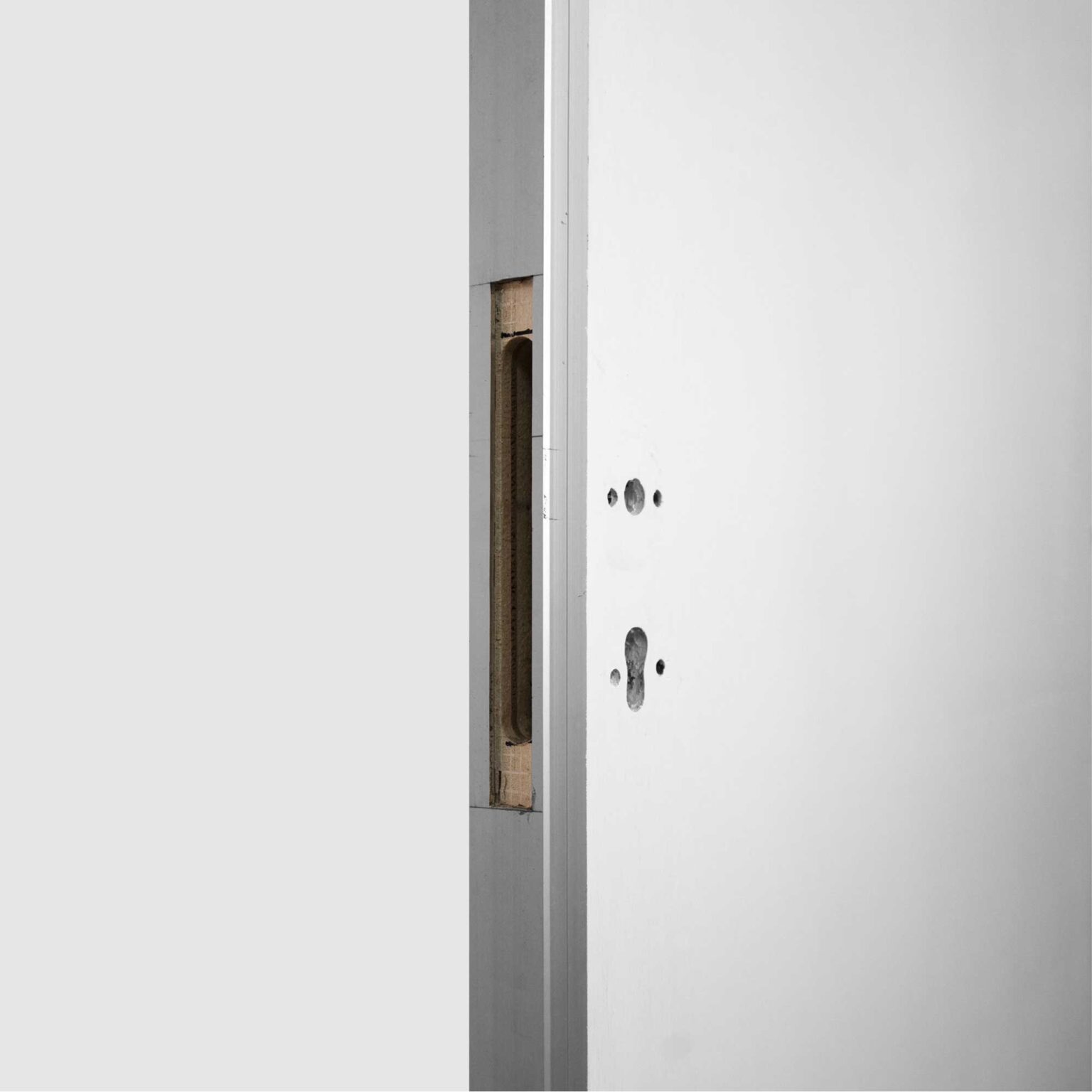 1-Hour Fire Rated Door | Double-Leaf [for Metal Frame] - Octopus Station