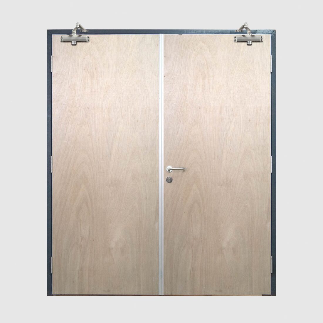 ARGUS 1-Hour Fire Rated Door | Double-Leaf [Timber Frame] - Octopus Station