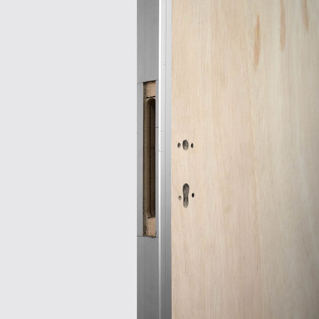 ARGUS 1-Hour Fire Rated Door | Double-Leaf [Timber Frame] - Octopus Station